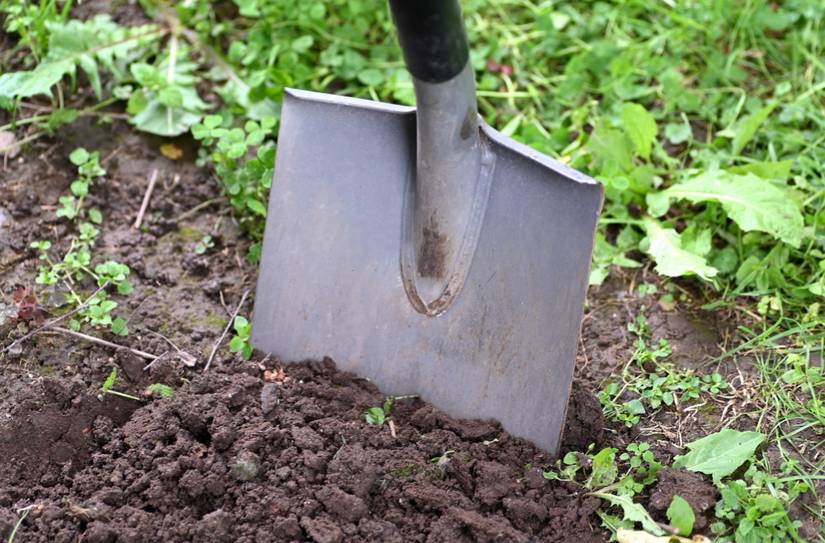 8 Ways to Get Free Rocks for Your Garden