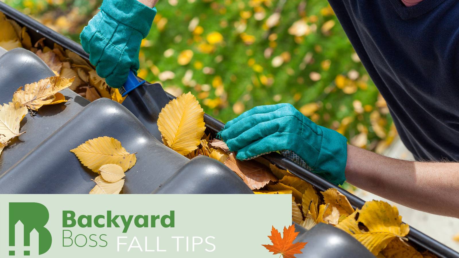 7 Home Projects You Should Do Each Fall