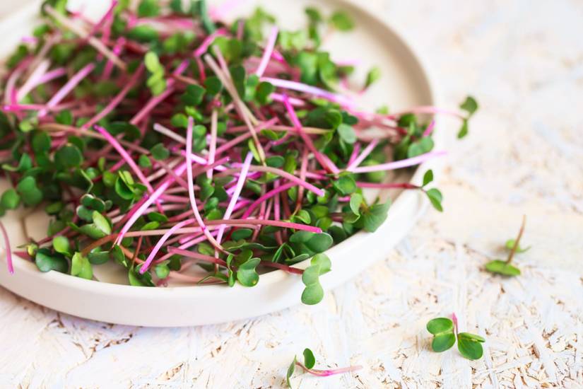 11 Tasty Microgreens To Grow Indoors