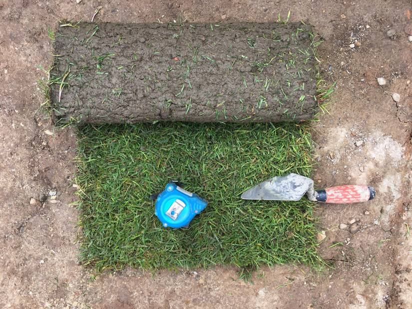 Get Rid of Your Lawn in 3 Steps