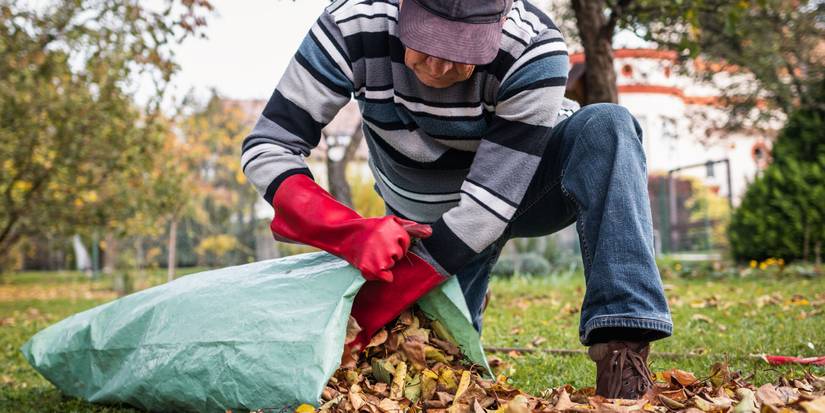 You Complete Guide to Composting Leaves