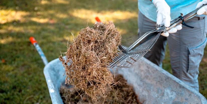 Find the Best Organic Mulch Options For Your Garden