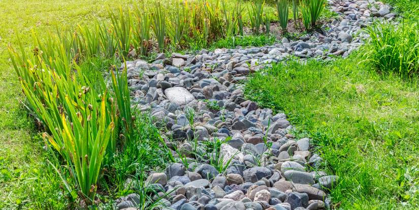 DIY Yard Drainage Solutions: Divert Water and Prevent Puddles
