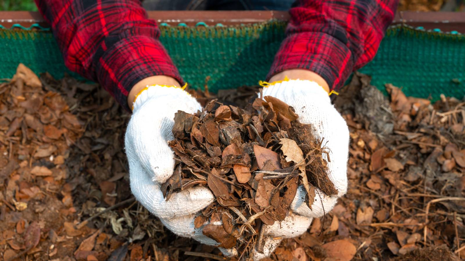 You Complete Guide to Composting Leaves