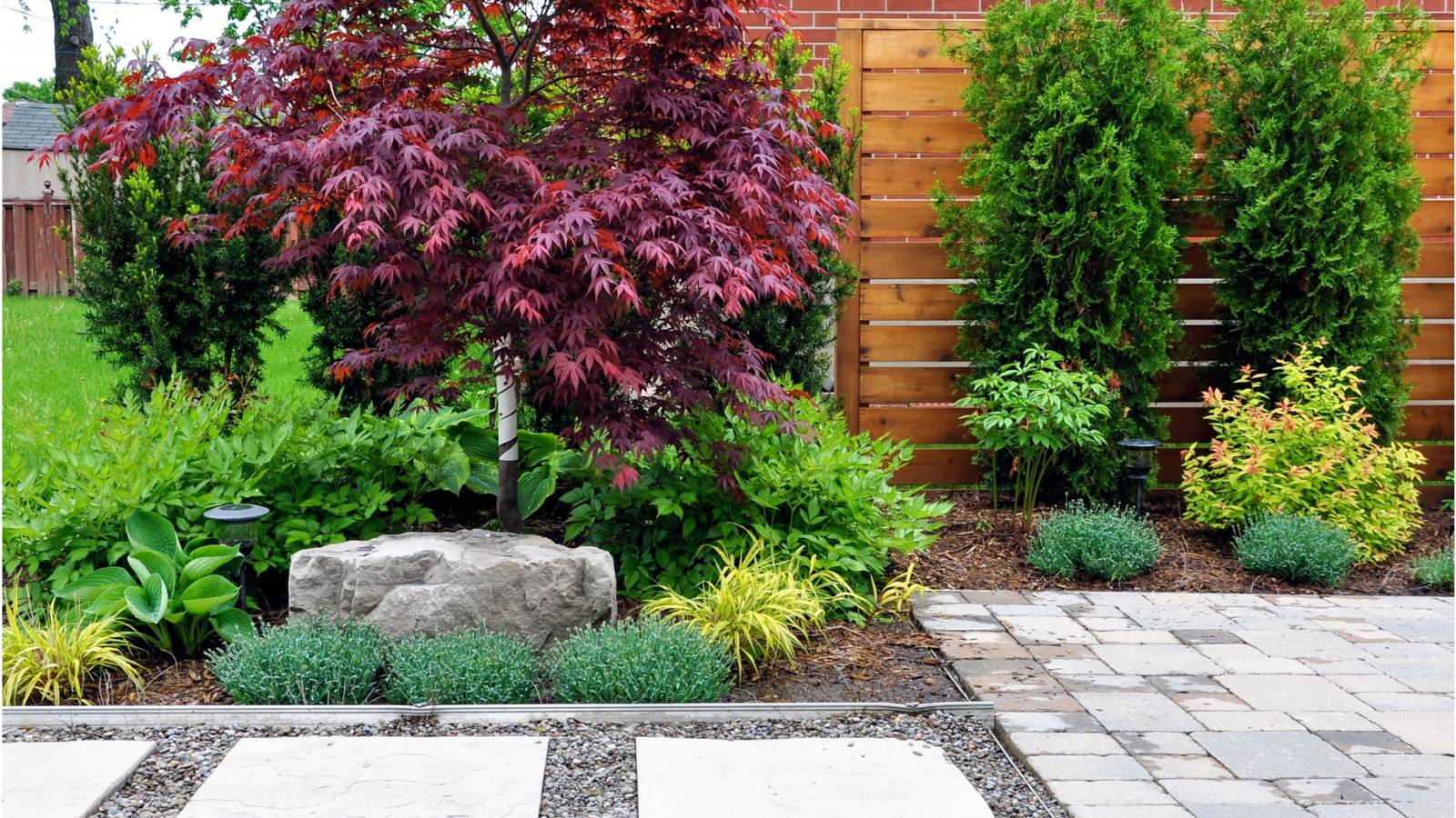 Companion Plants For Your Japanese Maple
