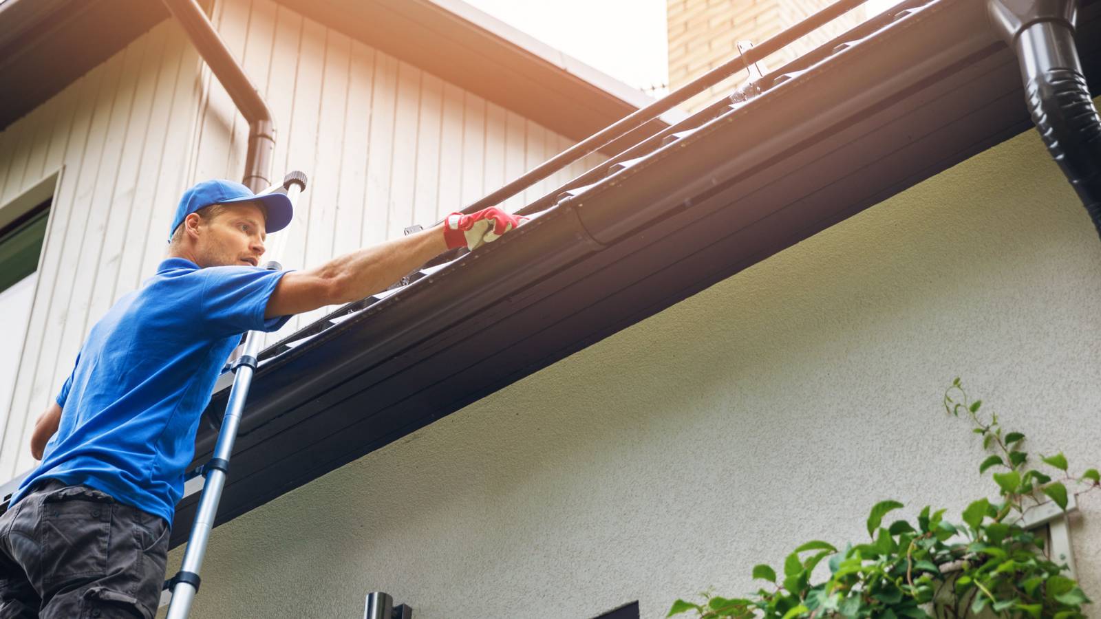 How to Clean Gutters Safely: Tools, Tips, and Seasonal Timing