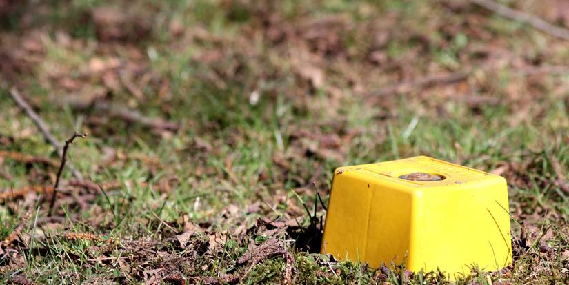 Where Does a Backyard Really Start? Legal vs. Visual Boundaries