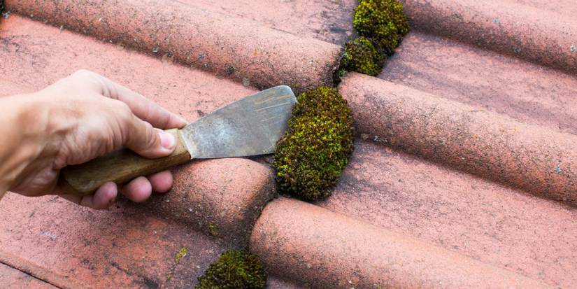 How To Remove Moss From a Roof