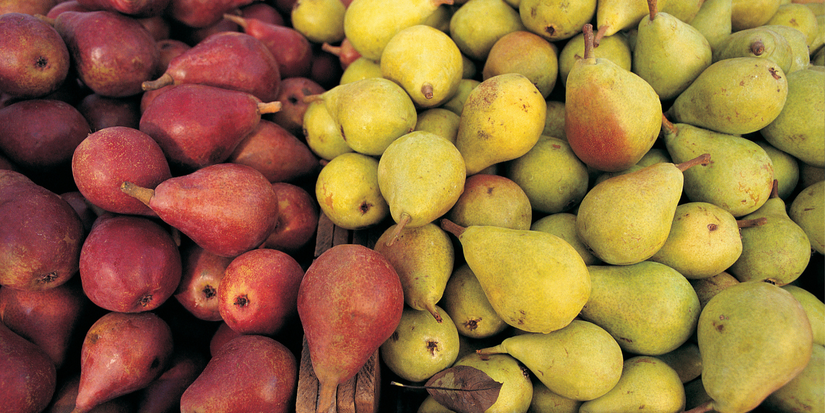 How to Fertilize Pear Trees