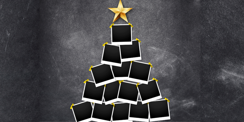 A Non-Traditional Holiday: Alternative Christmas Trees