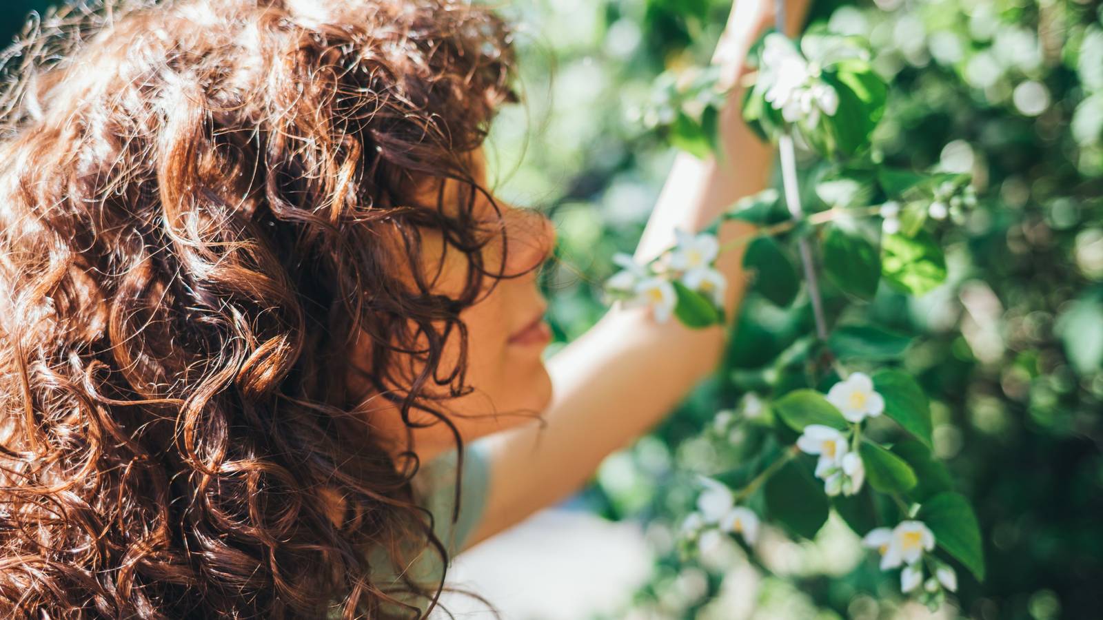 Fill Your Landscape With Fragrant Evergreen Shrubs