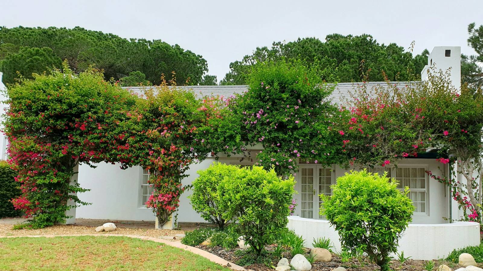 Designing a Stunning Circle Garden: Ideas For Beauty, Balance, and Purpose