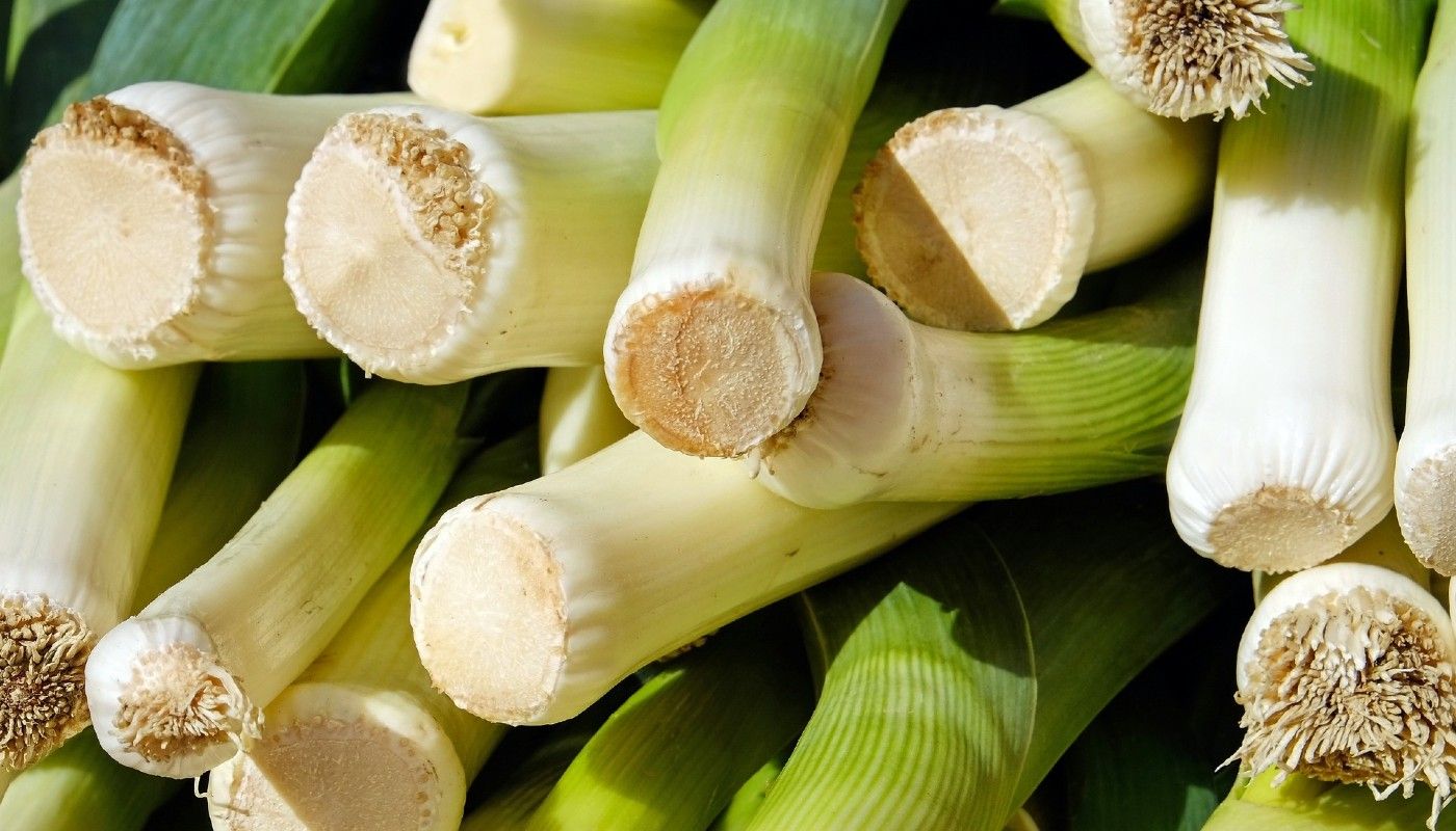 A Complete Guide to Growing Leeks in the Garden