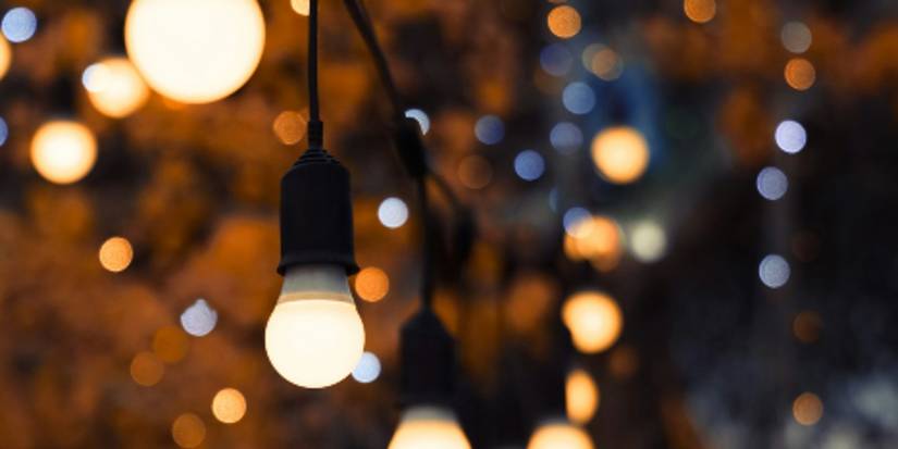 Moon Garden: White Perennials For a Luminous Glow