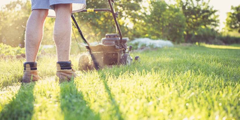 Unlocking the Secrets of Successful Lawn Overseeding