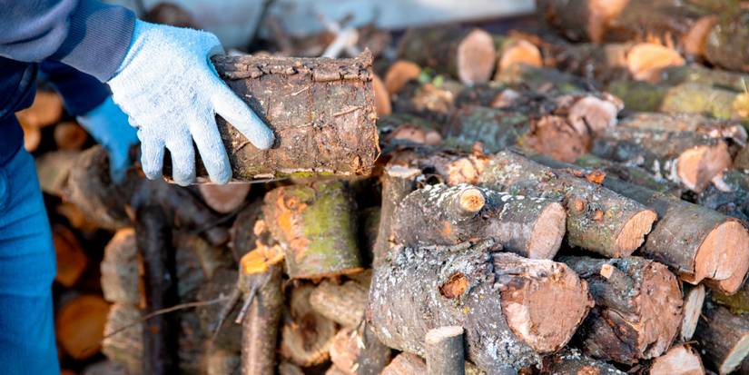Dangerous Woods That Release Toxins When Burned in Fire Pits