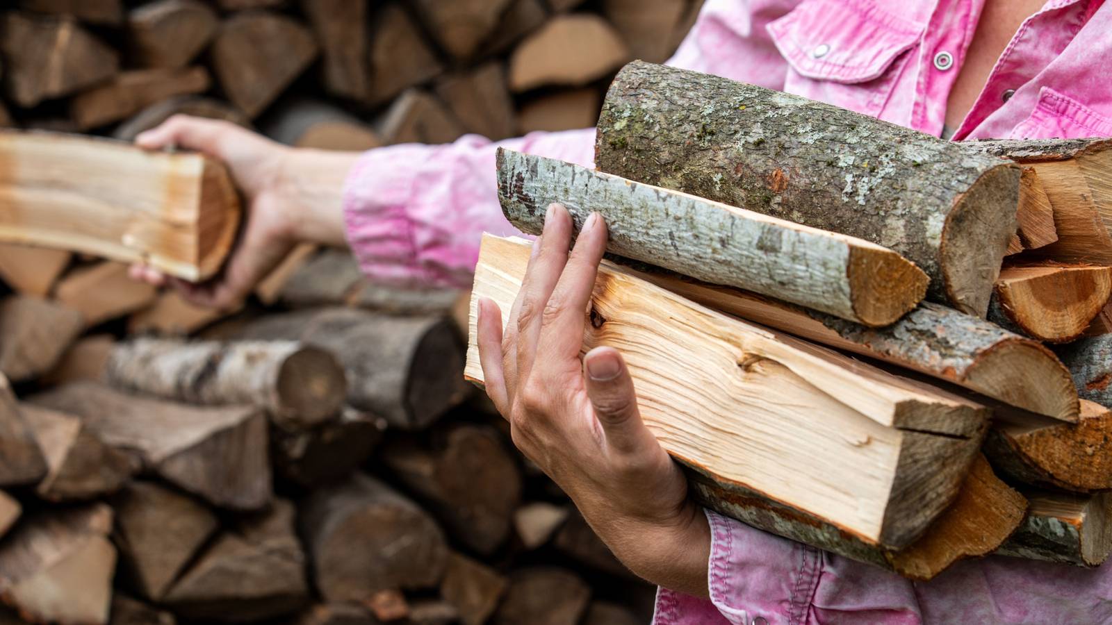 The Art of Winter Fire: A Guide to Picking the Perfect Firewood