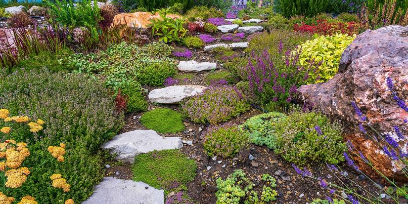 Creative Herb Garden Ideas: Transform Your Yard!