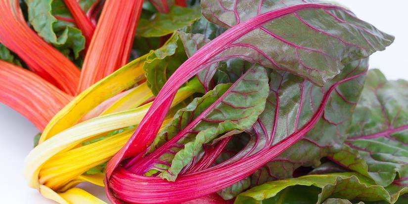 Grow and Care For Swiss Chard in the Garden