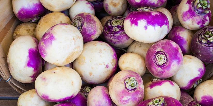 Growing Turnips in the Garden: A Complete Guide