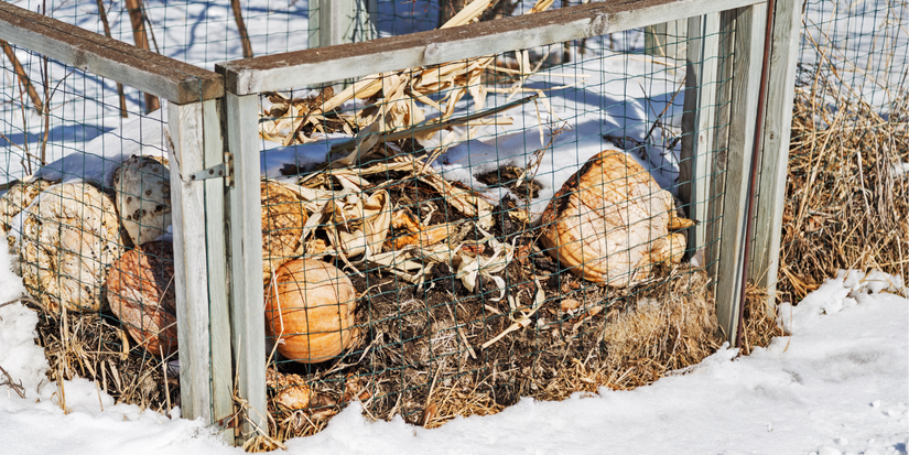 Winter Gardening in January: 5 Expert Tips