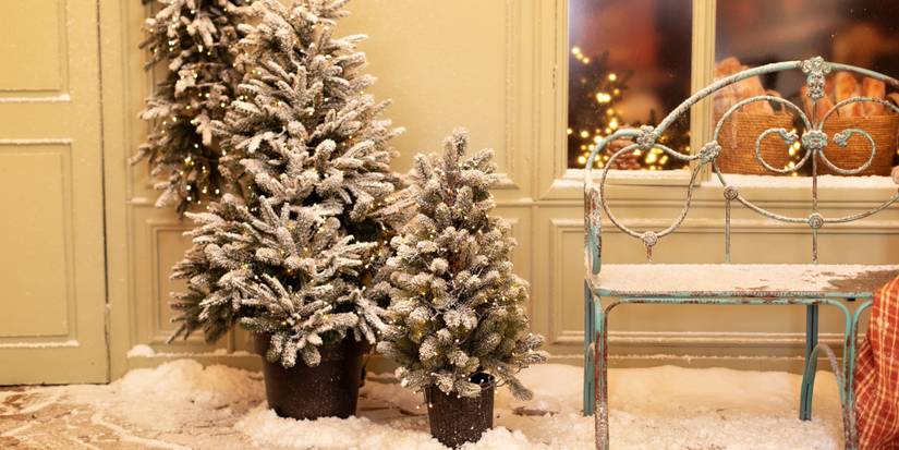 Use Winter Garden Ideas to Create a Dream Backyard