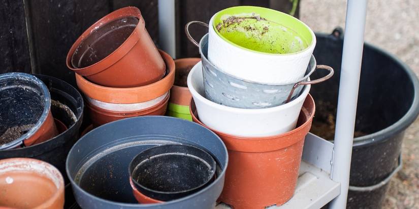 Portable Solutions for Renters Who Love Greenery