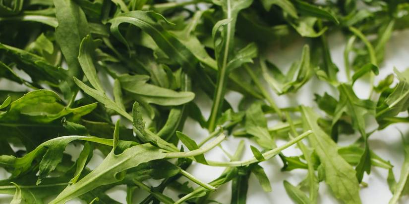A Complete Guide to Growing Arugula in the Garden