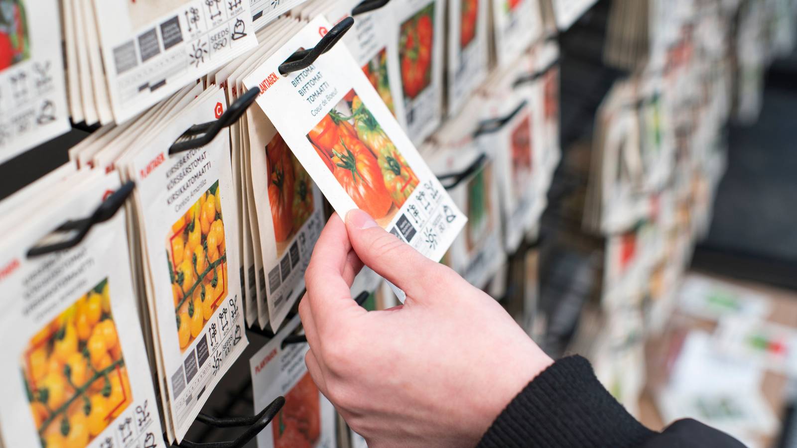 How to Read Seed Packets for Optimal Plant Growth