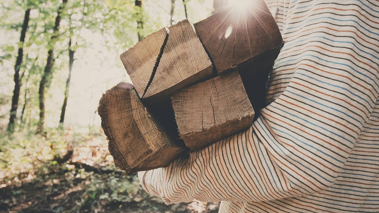 Poplar Firewood: Often Overlooked, Burning to Be Seen