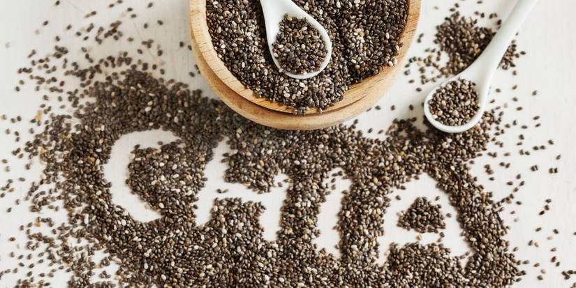 8 Surprising Facts About Chia Pets