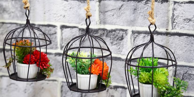 Creative Ways to Repurpose Bird Cages in Your Garden