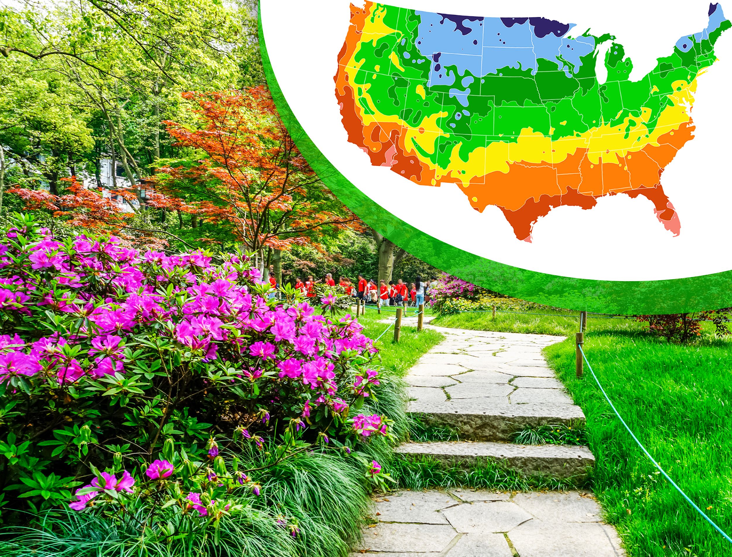 Flower Planting Zones Map