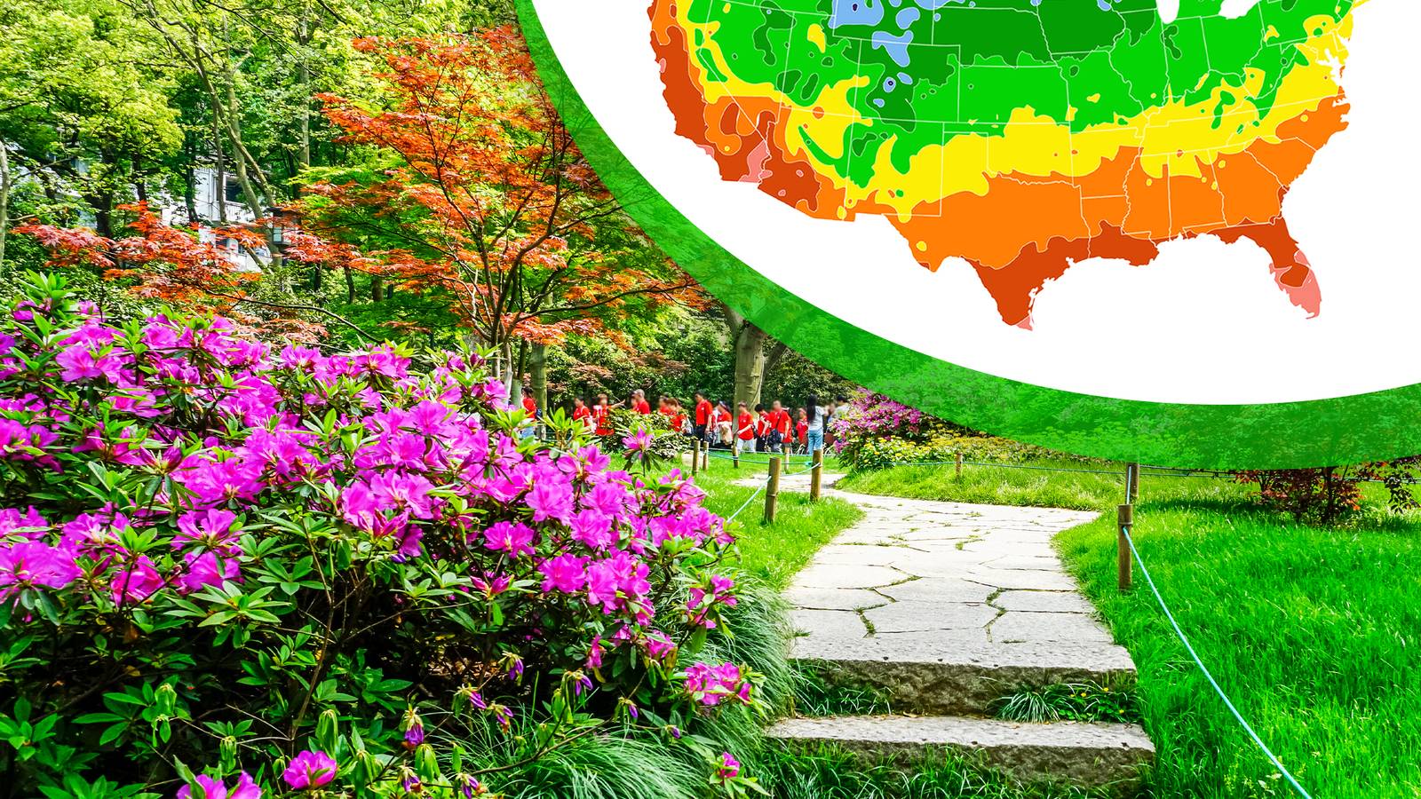 Adapting to The 2023 USDA Hardiness Zone Updates