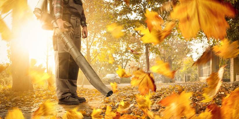 White Landscaping Rocks: Easy Care Tips to Keep Them Spotless
