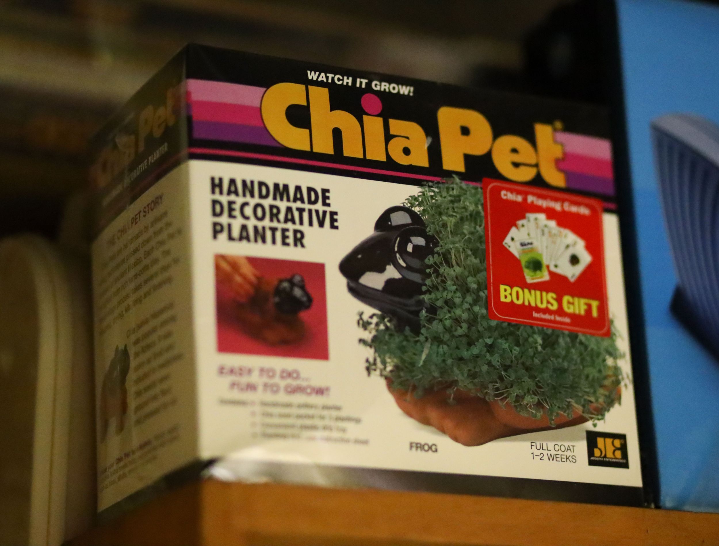 8 Surprising Facts About Chia Pets