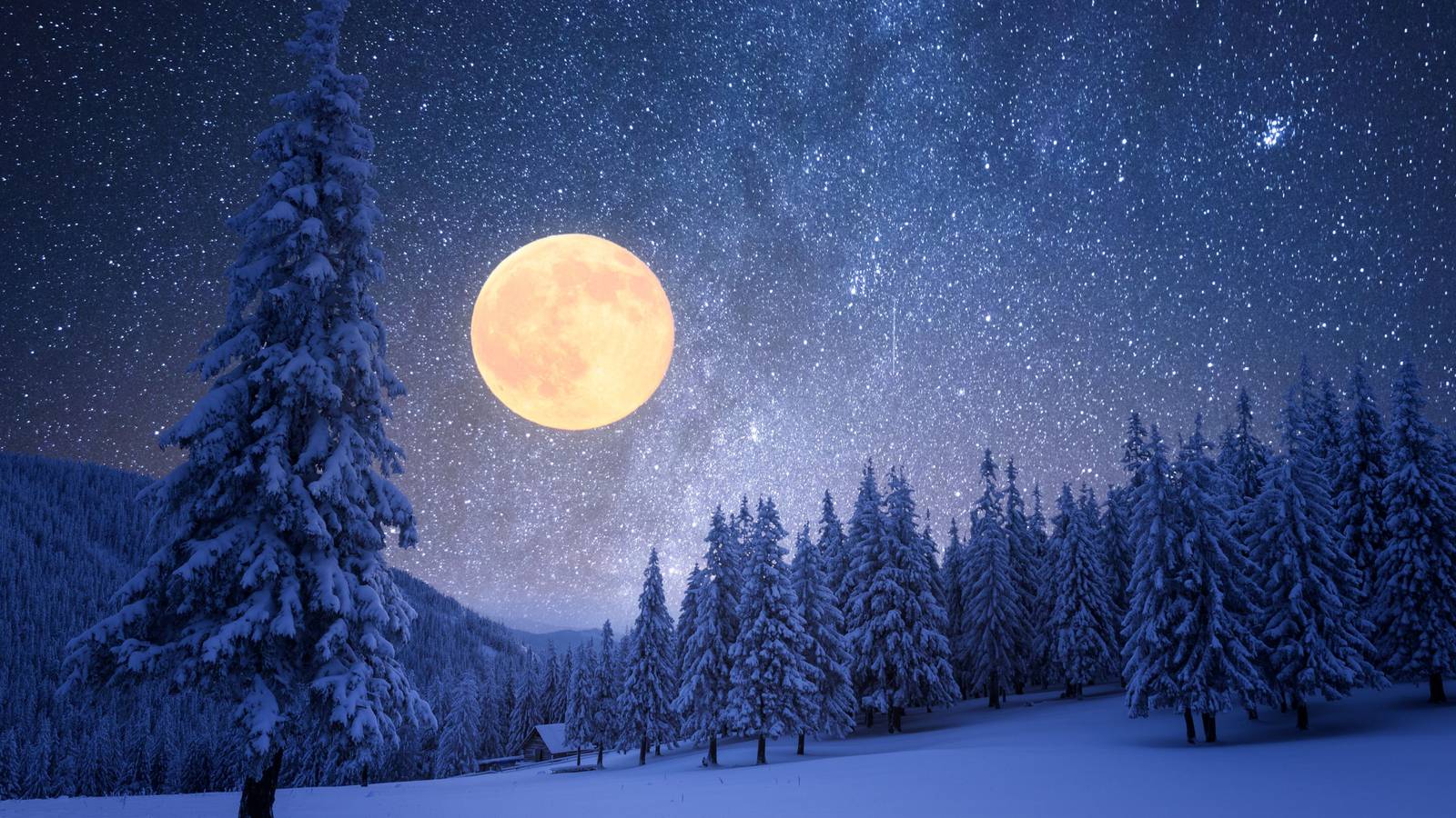 Snow Moon Wisdom: Gardening Secrets Revealed
