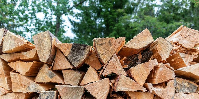 5 Firewood Choices That Fill Your Cozy Home With Christmas Scent