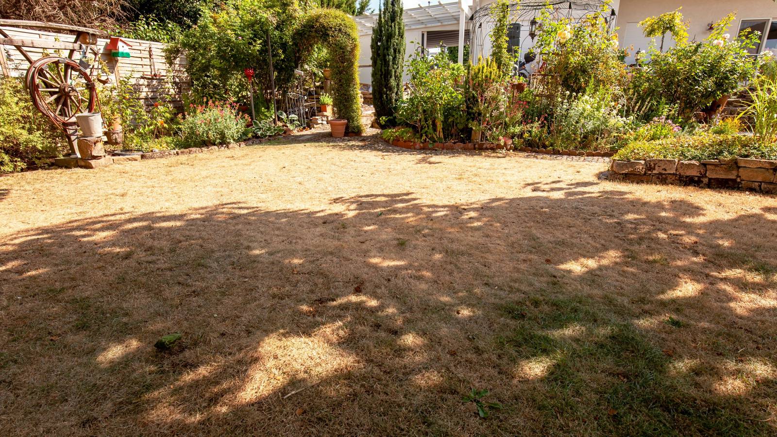 Sustainable Lawn Care: Balancing Beauty with Environmental Responsibility