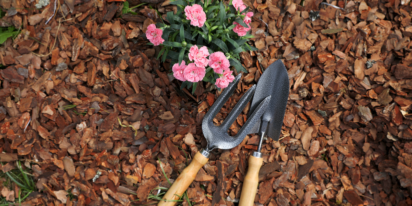 What is Mulch and Why Remove it in March?