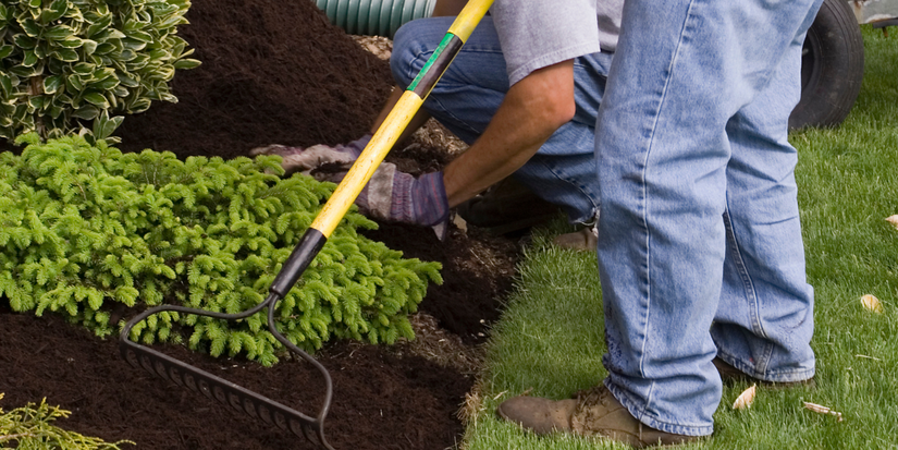 Beginner's Guide to Gardening: Tips, Tools, and Creative Garden Ideas