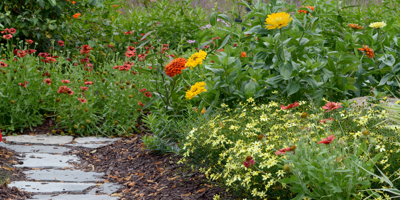Why Bees Prefer Yellow Flowers: Boost Pollination in Your Garden