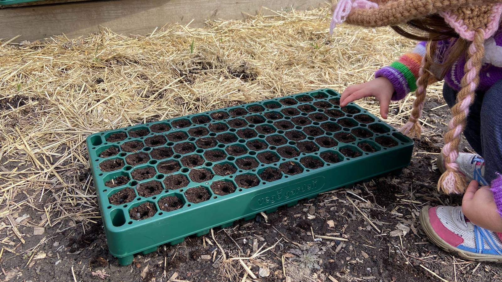 Starting Your Spring Garden Right With Vego Garden