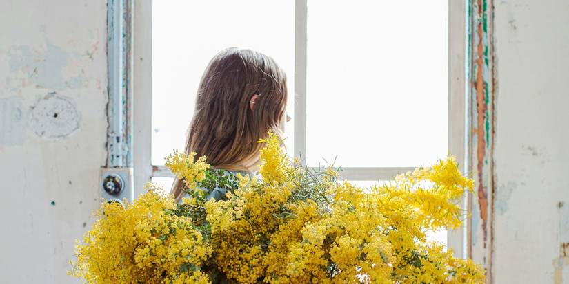 Petals of Empowerment: The Enduring Legacy of Mimosa on International ...