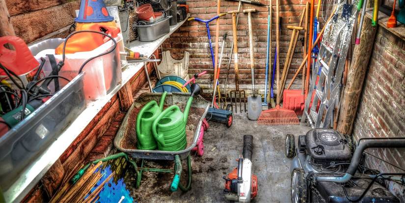 Clear Backyard Clutter Fast: Junk Removal Tips for a Clean Transformation