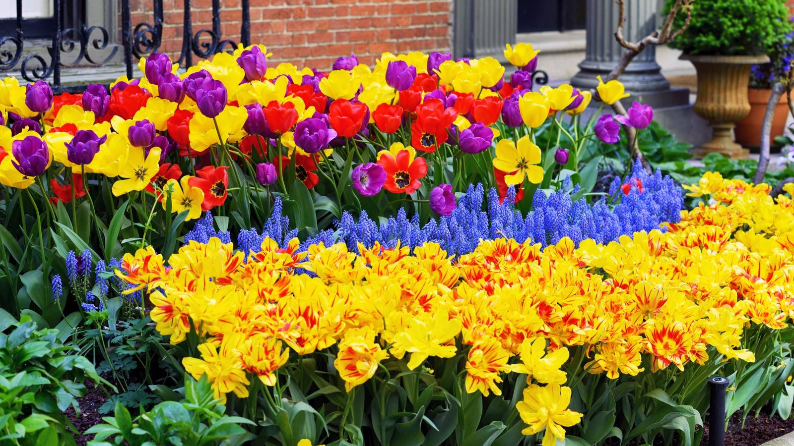 How to Use Color Theory in Your Garden Design