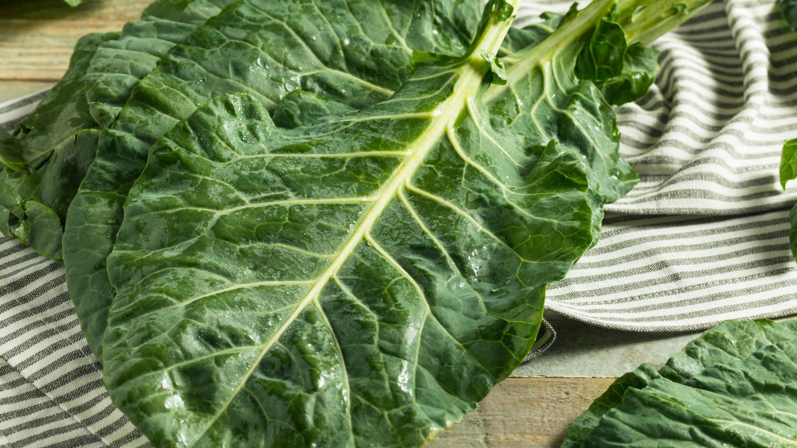 3 Essential Steps for Harvesting Collard Greens