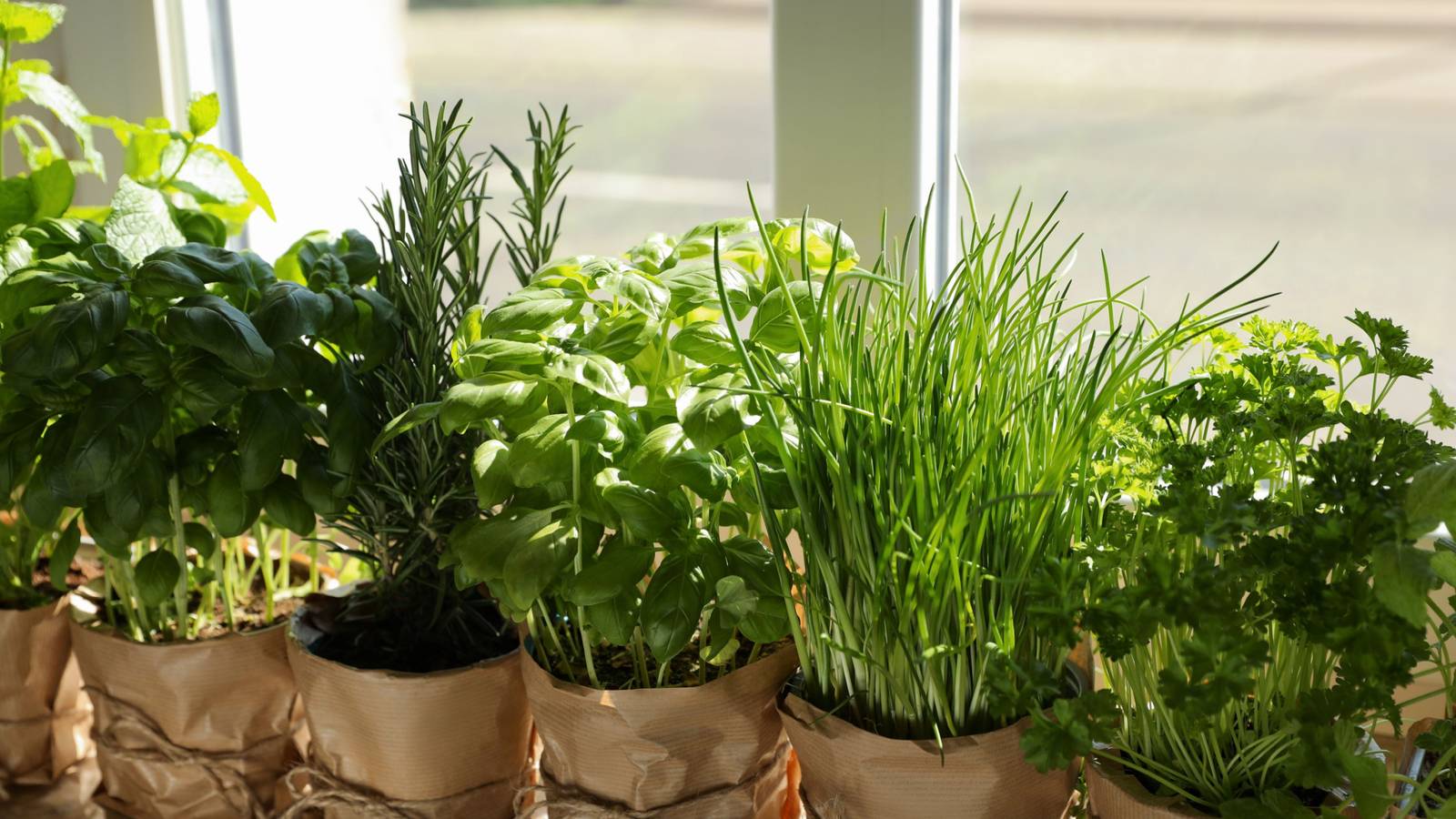 Transform Your Dishes with Low-Sodium Seasoning Herbs