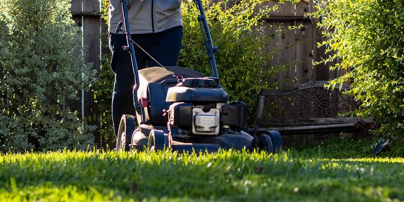 Early Spring Lawn Care: Up Your Game With 5 Tips