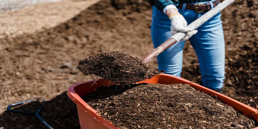5 Issues That Can Ruin Your Soil's Structure